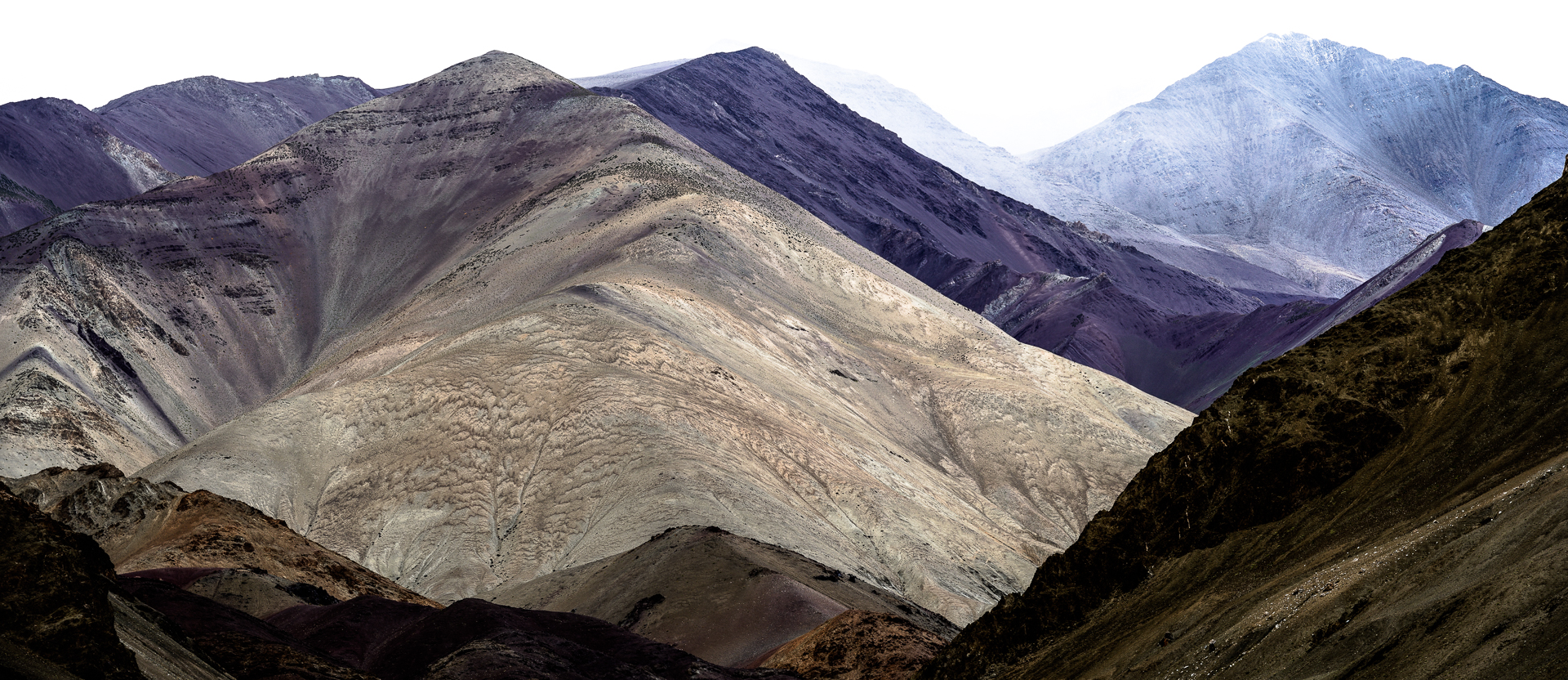 Changtang - wolfgang seeliger nature photography